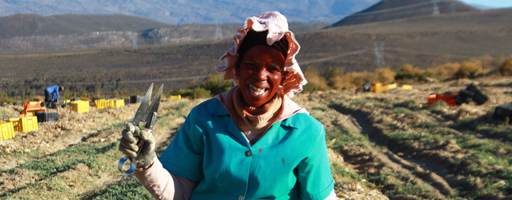 about | Isiqalo Trust